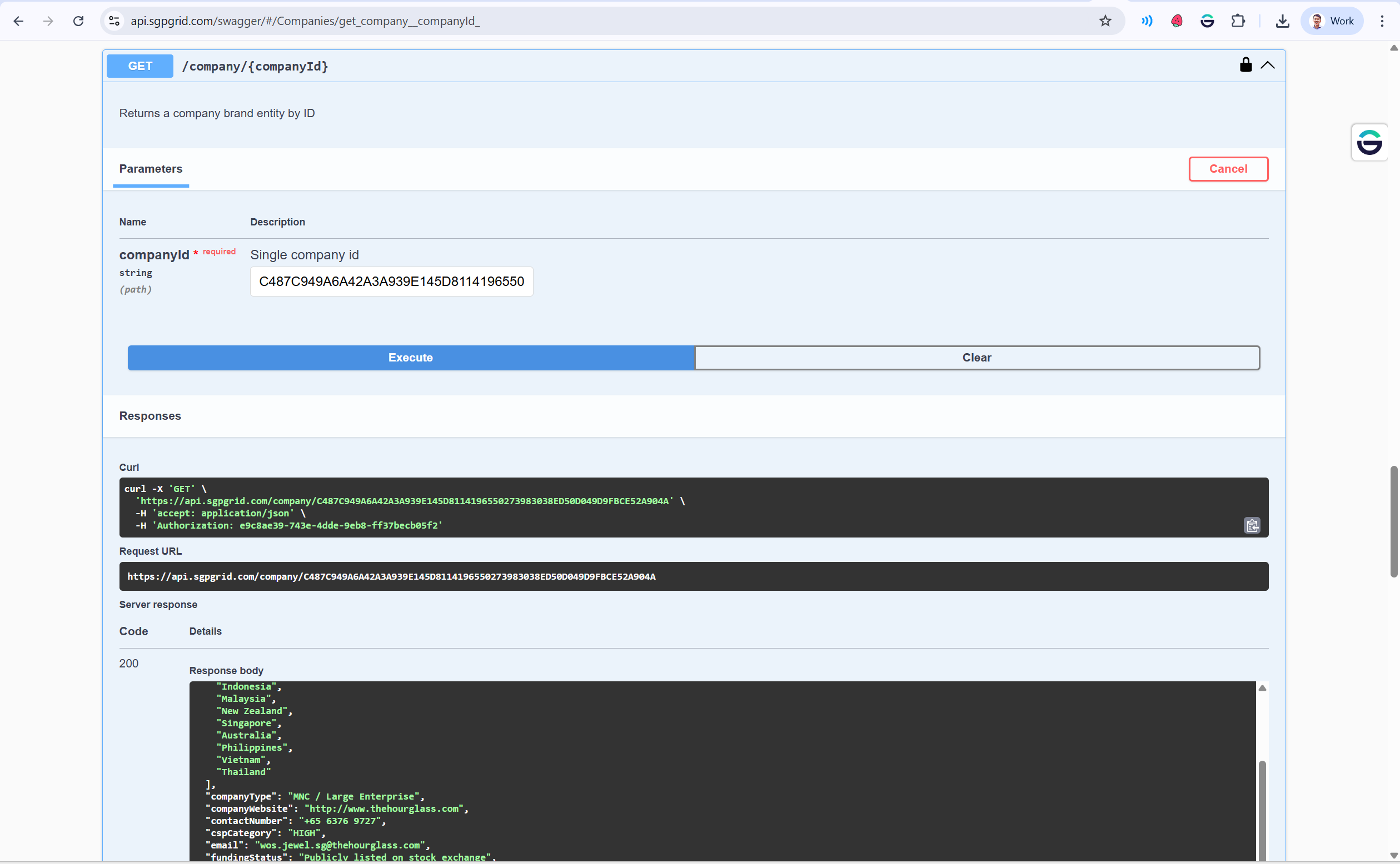 How to test The Grid API capabilities using Swagger